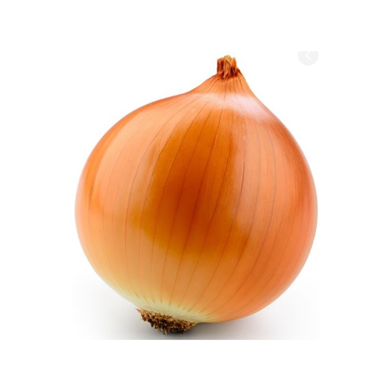 Local Organic Onion 500g - Spicebox Organics