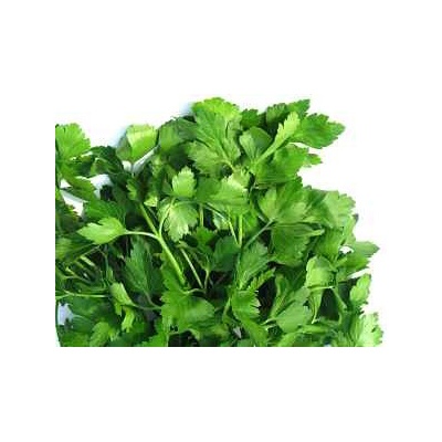 Organic Fresh Parsley Bunch 50g - Spicebox Organics