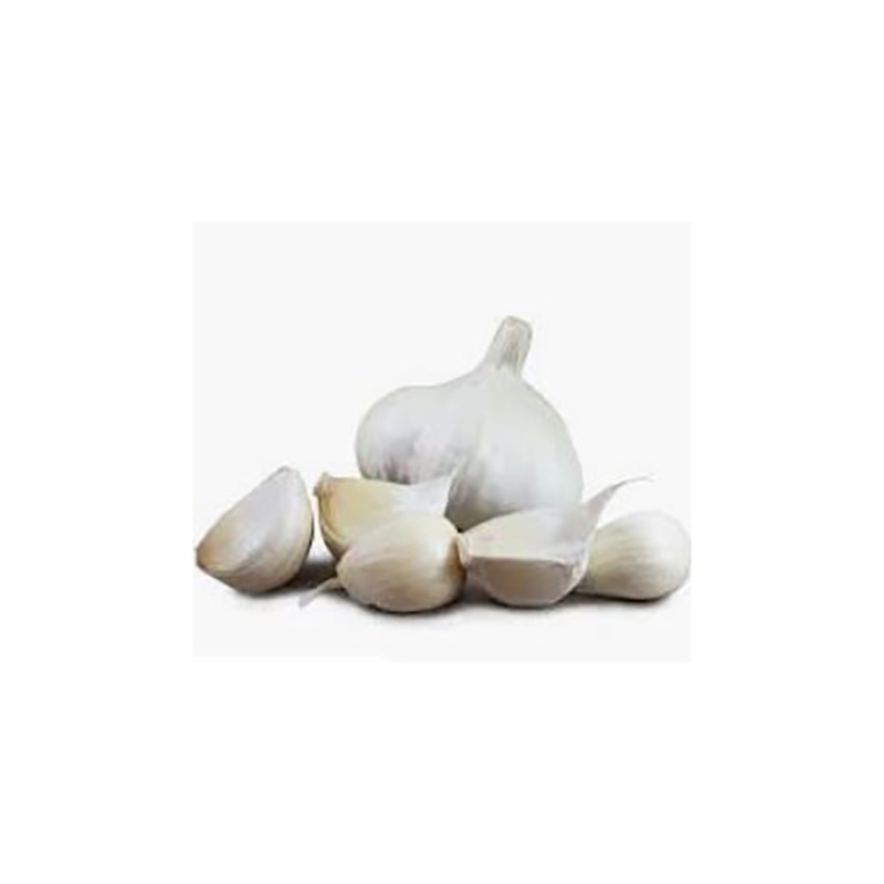 United Organic Garlic 5 for 50 - Spicebox Organics