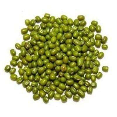 SpiceBox Organics Whole Moong Beans 500g - Spicebox Organics