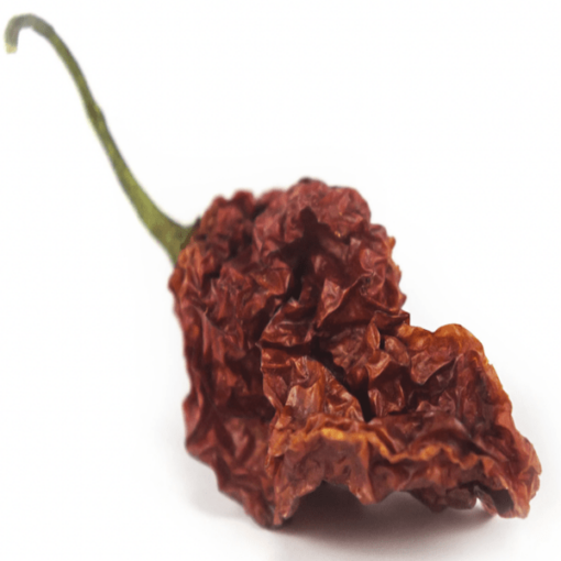 SpiceBox Organics Organic Ghost Pepper 10g (By Weight) - Spicebox Organics