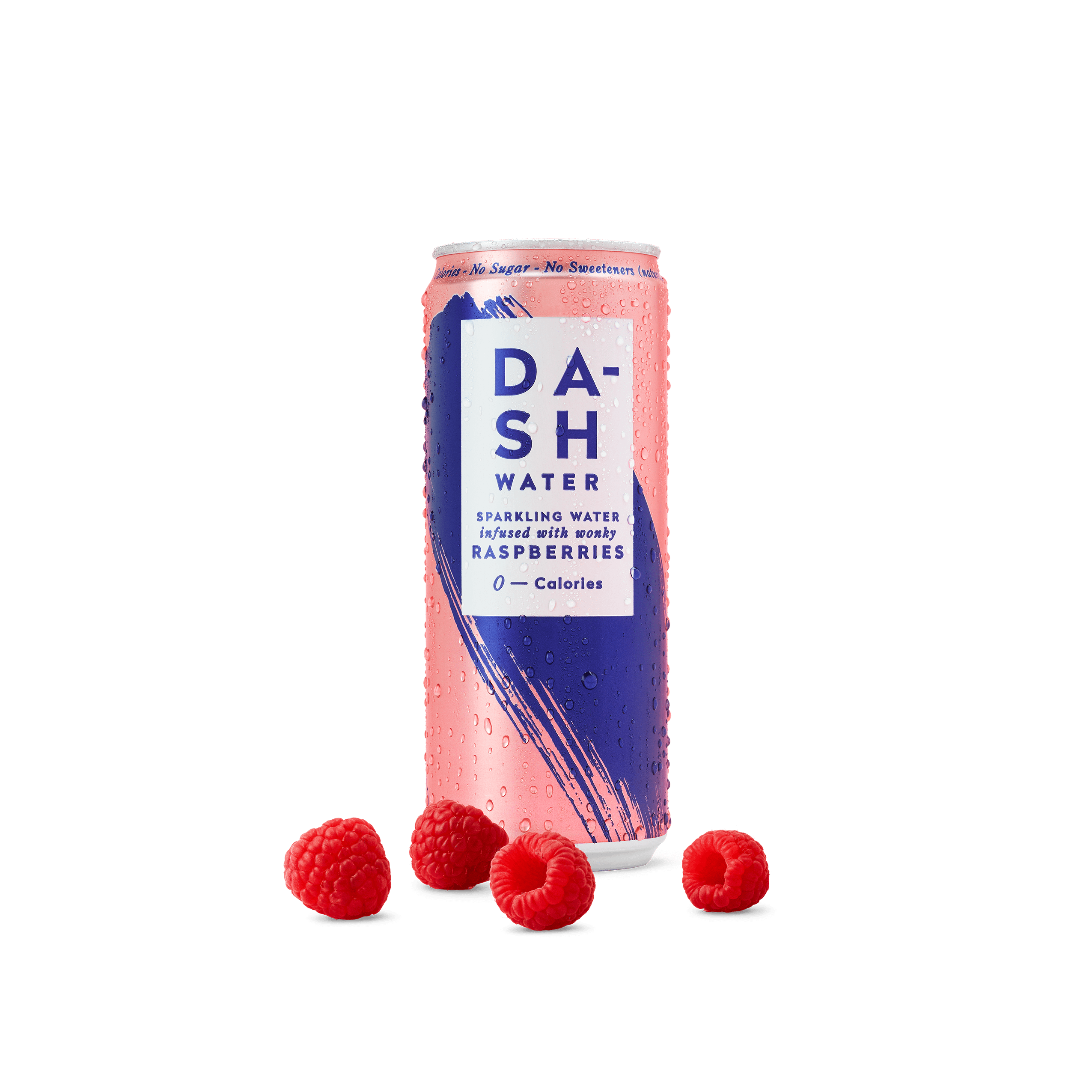 Dash Raspberry Sparkling Water (330ml) - Spicebox Organics